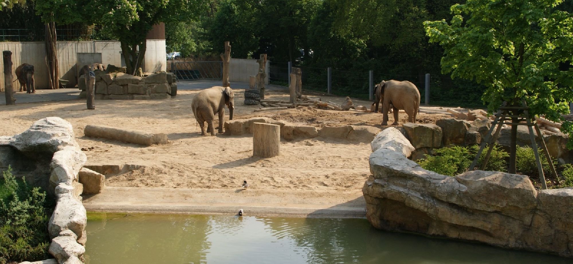 Freizeitspaß im Zoo Dresden