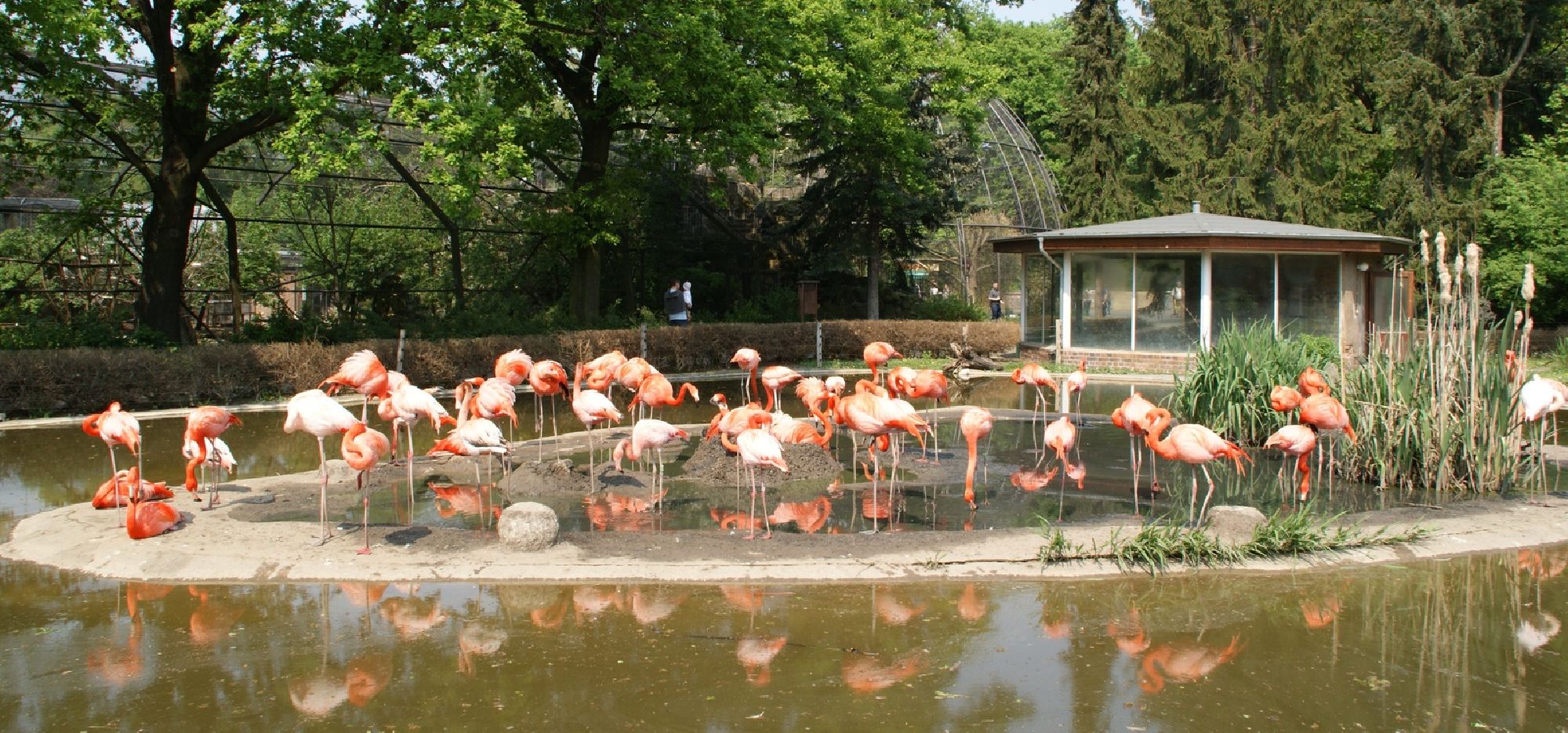 Freizeitspaß im Zoo Dresden