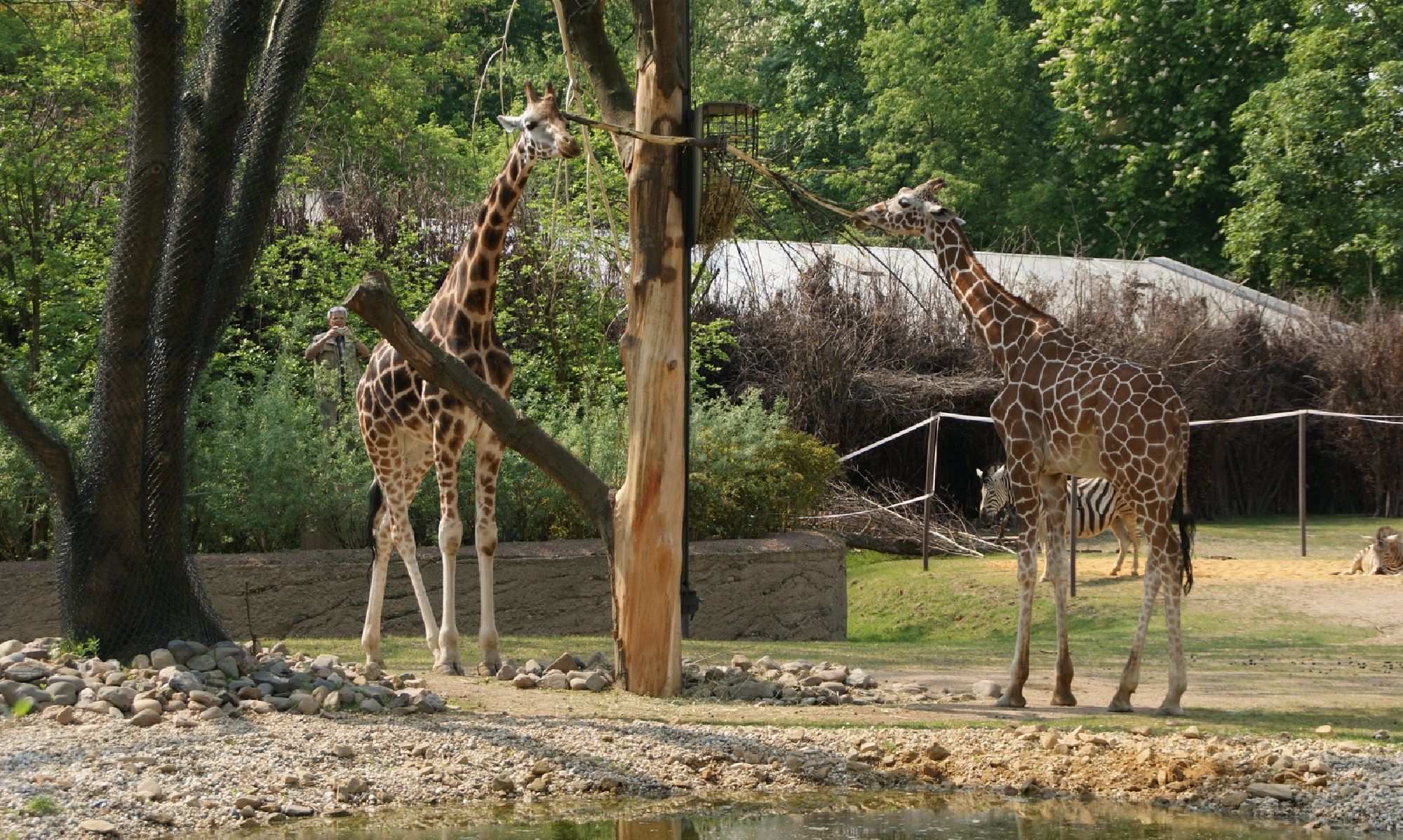 Freizeitspaß im Zoo Dresden