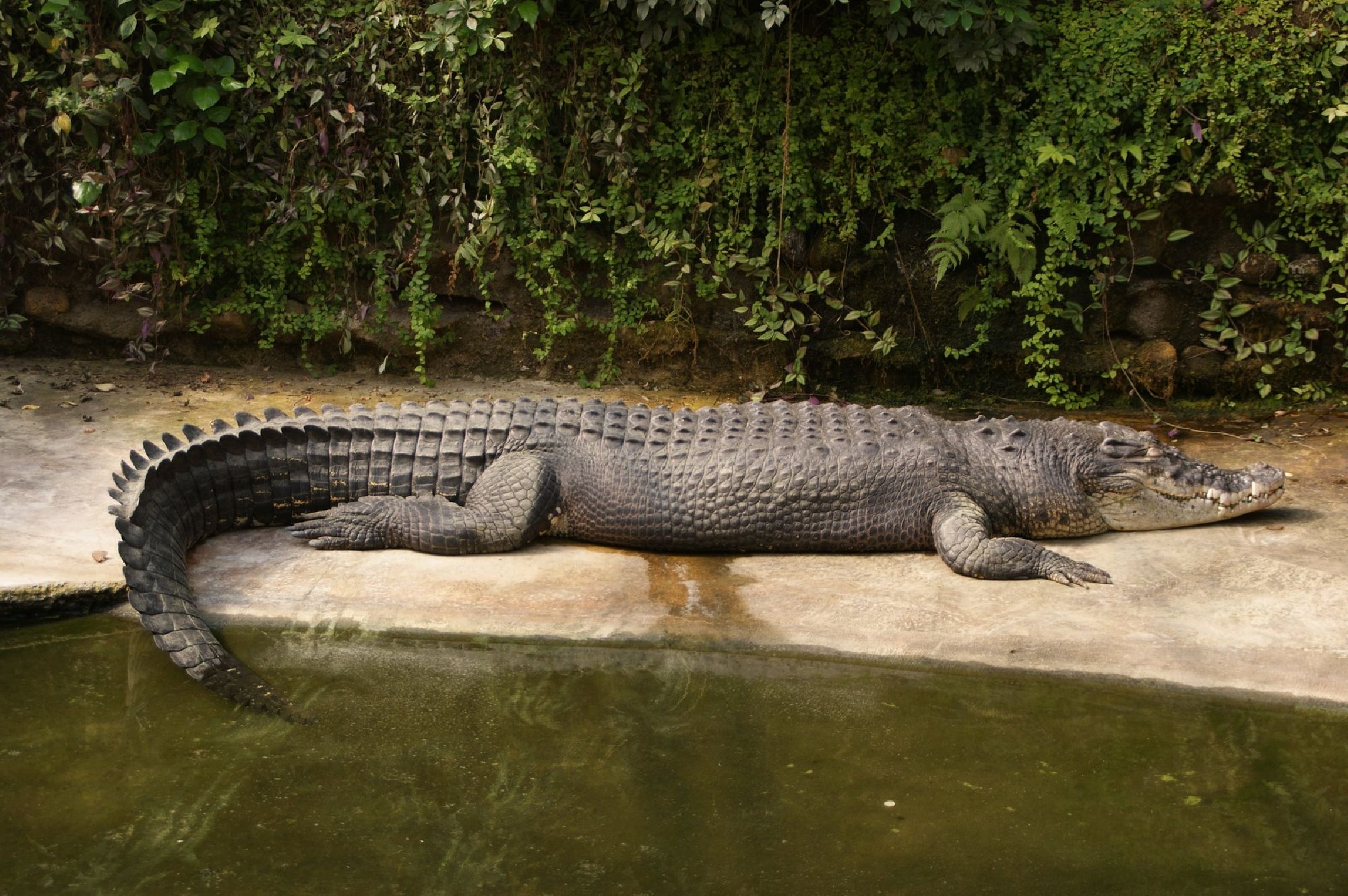 Freizeitspaß im Zoo Dresden
