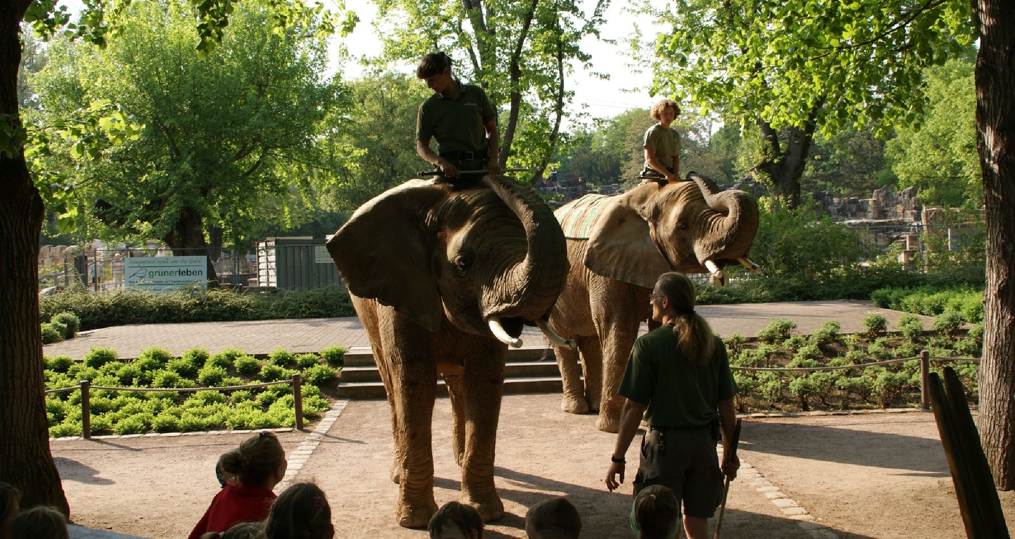 Freizeitspaß im Zoo Dresden